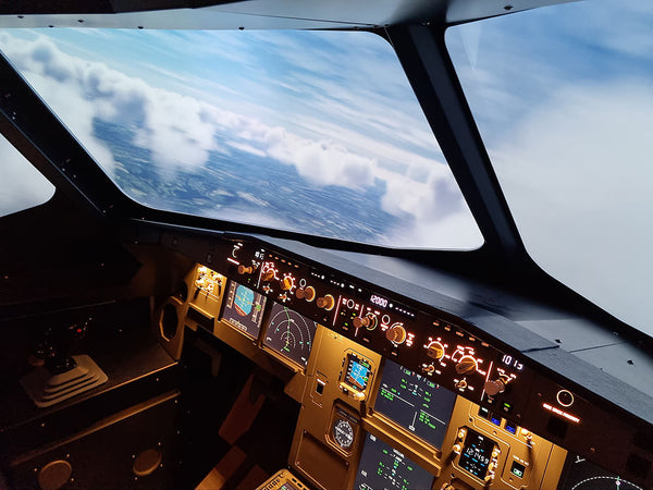 Airbus A320 Flight Simulator Experience - The Flight Experience